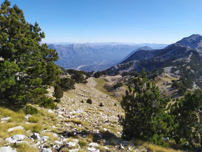 Vlore : Daily hiking at Qorre Peak, Llogara National Park | GetYourGuide
