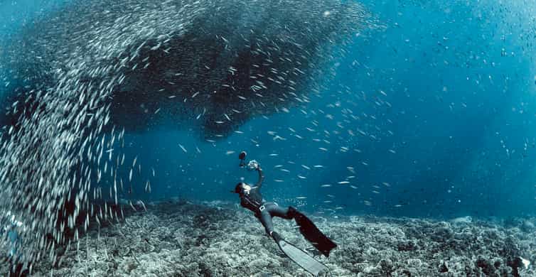 Cebu: Moalboal Sardines & Turtle Snorkeling a Canyoneering | GetYourGuide