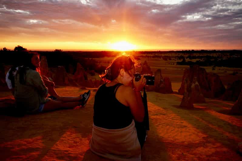 From Perth: Pinnacles Sunset and Stargazing Tour with Dinner | GetYourGuide