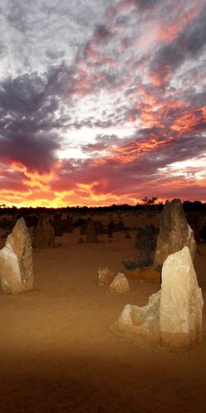 From Perth: Pinnacles Sunset and Stargazing Tour with Dinner | GetYourGuide