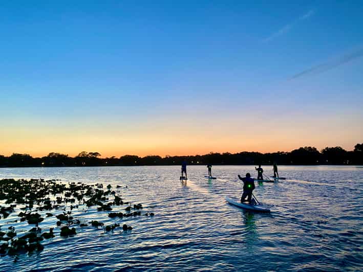 Orlando: Sunset Clear Kayak or Paddleboard in Paradise Tour | GetYourGuide