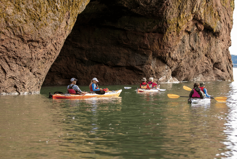 Saint John: Bay of Fundy Guided Kayaking Tour with Snack | GetYourGuide