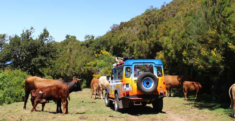 The BEST Atlantic Ocean, Portugal Jungle tours 2023 - FREE Cancellation ...