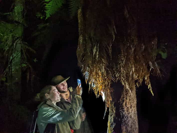 Rotorua: Nocturnal Glow-Worm Adventure Tour with a Guide | GetYourGuide