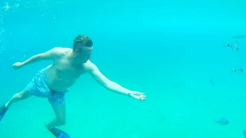 Swimming on Island Cres like a Mermaid | GetYourGuide