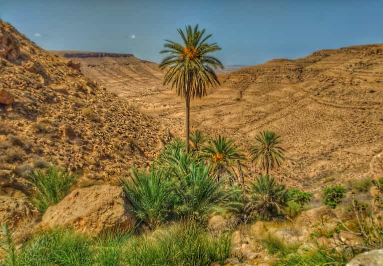 Zarzis/Djerba: Dhaher Mountain Hike with Ksar Jouamaa Stay | GetYourGuide