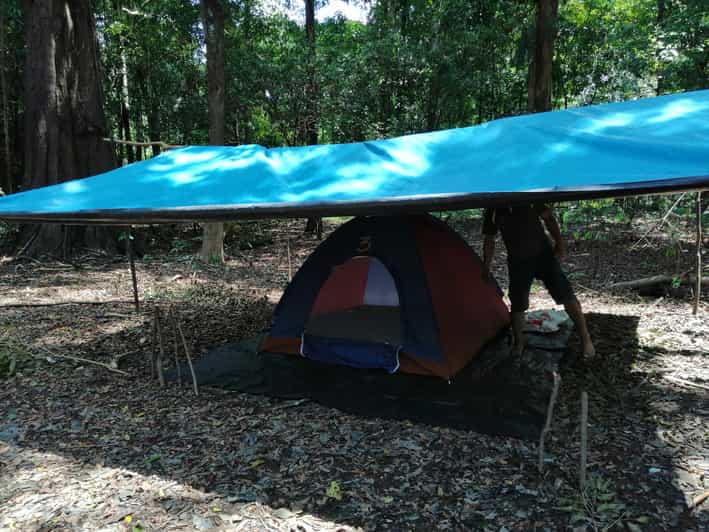 Pacaya-Samiria National Reserve: Multi Day jungle expedition | GetYourGuide