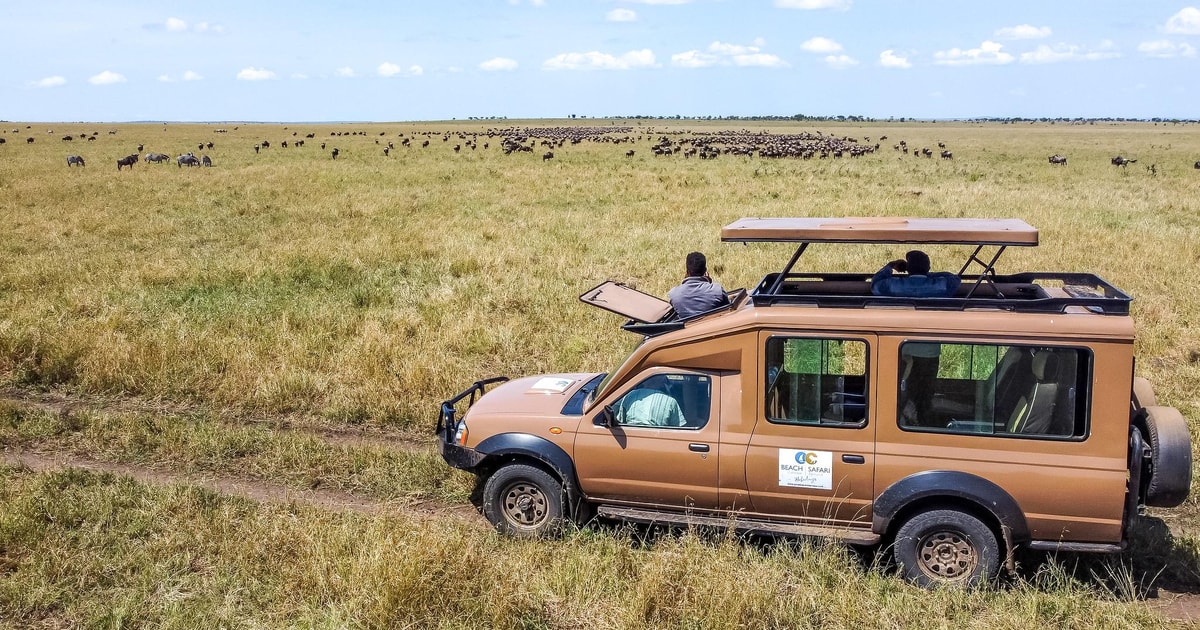 From Arusha: Drive and Fly Back Safari Tarangire & Serengeti | GetYourGuide