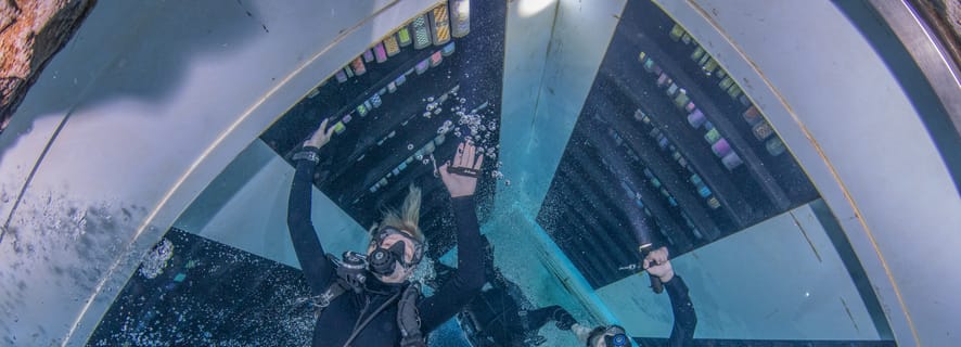 Deep Dive Dubai | Fornitore di GetYourGuide