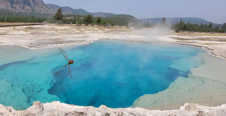 From Cody: Full-Day Yellowstone National Park Tour | GetYourGuide