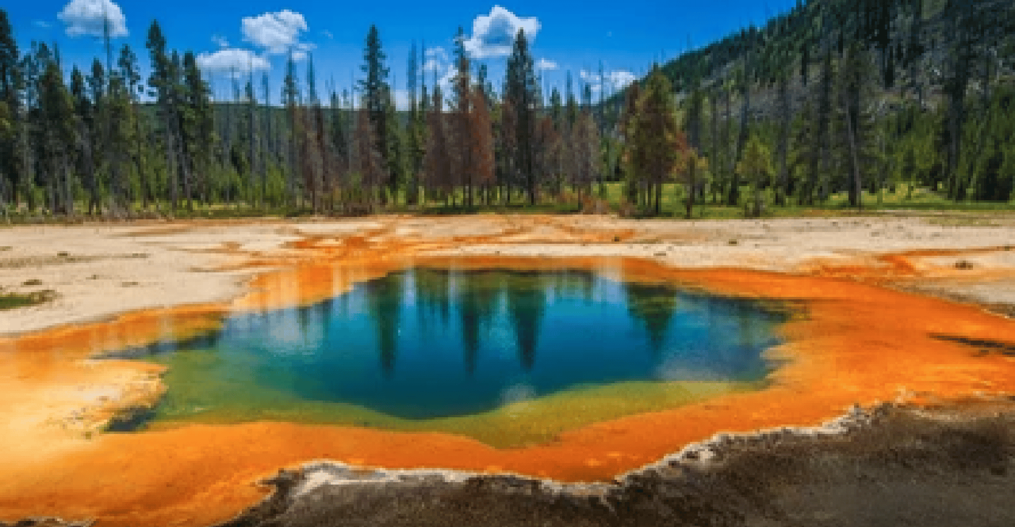 Yellowstone & Grand Tetons, 4-Day/3-Night Wildlife Adventure | Multi ...