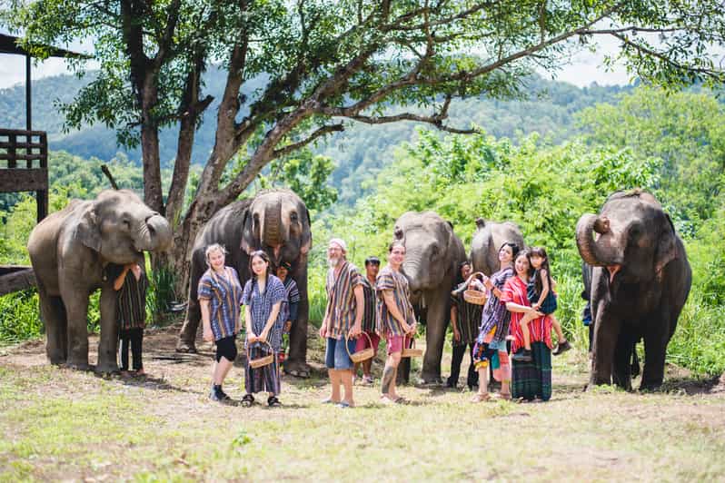 Chiang Mai: Elephant Sanctuary Interactive Tour | GetYourGuide