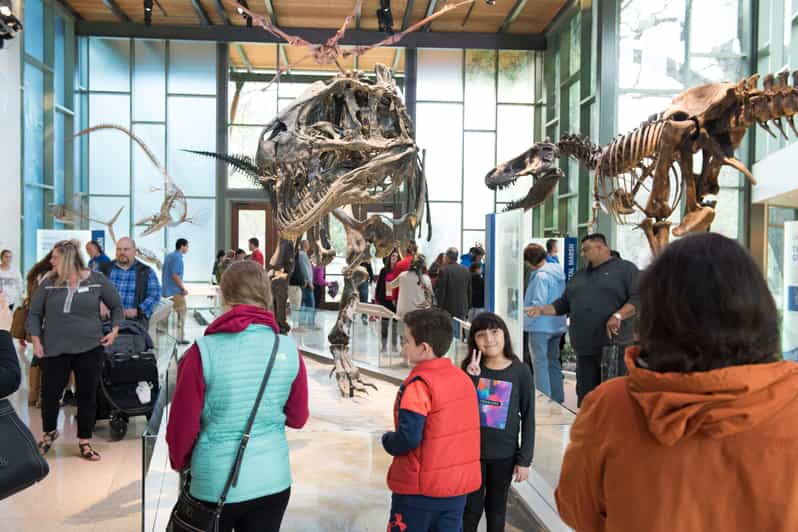 San Antonio: Witte Museum Admission Ticket | GetYourGuide