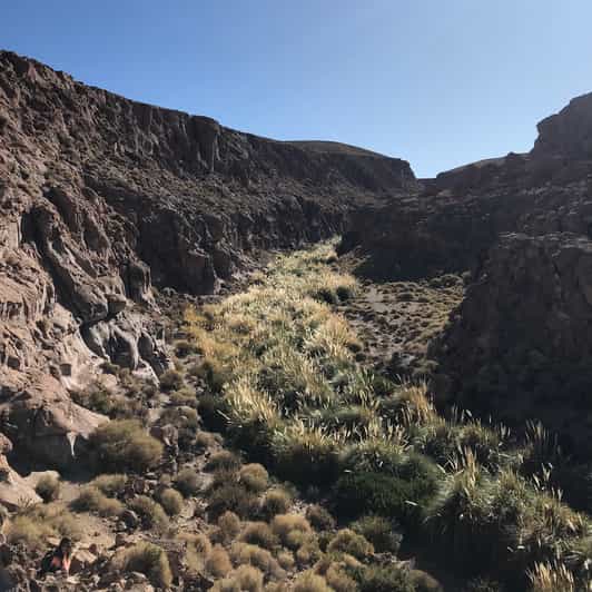 San Pedro de Atacama: Canyon Swimming Pools Trekking Trip | GetYourGuide
