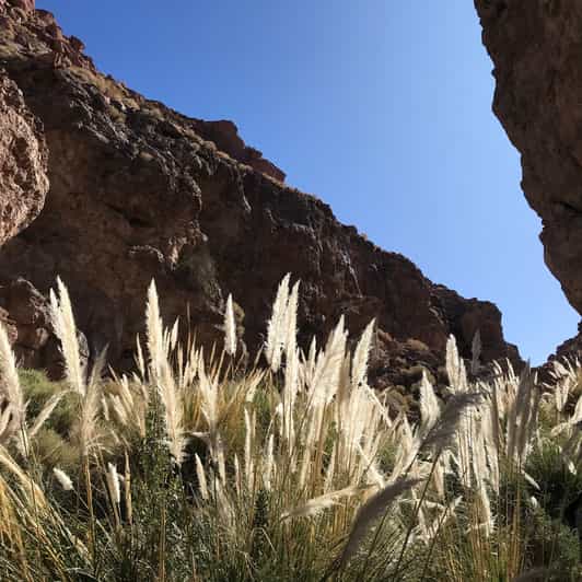 San Pedro de Atacama: Canyon Swimming Pools Trekking Trip | GetYourGuide