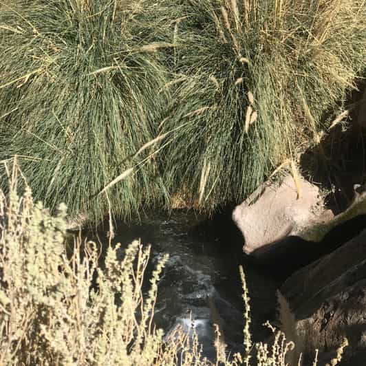 San Pedro de Atacama: Canyon Swimming Pools Trekking Trip | GetYourGuide