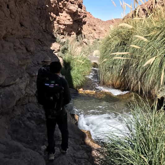 San Pedro de Atacama: Canyon Swimming Pools Trekking Trip | GetYourGuide
