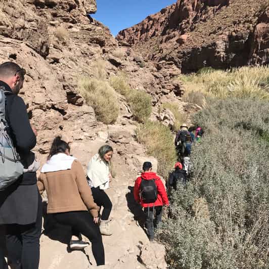 San Pedro de Atacama: Canyon Swimming Pools Trekking Trip | GetYourGuide