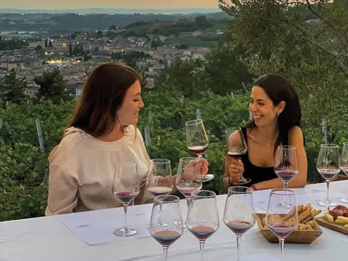 Valpolicella Classica: Red Tasting in the Vineyard | GetYourGuide