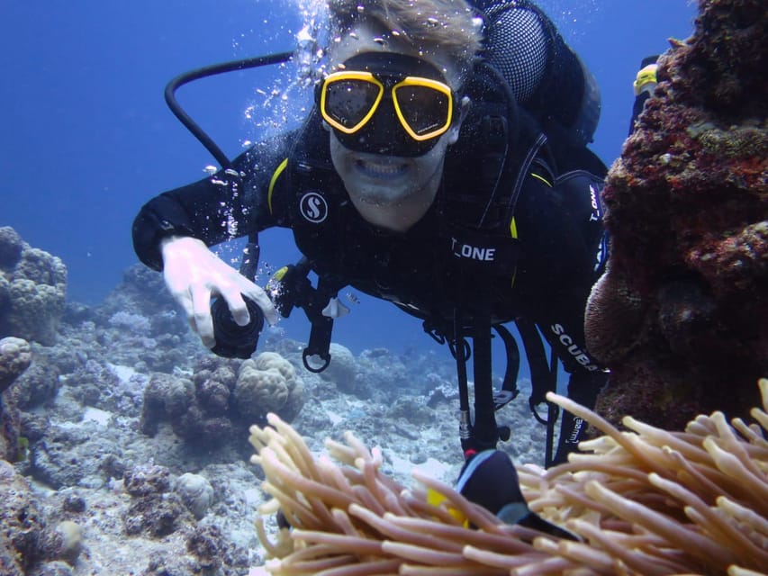Descubre el submarinismo en el norte de Mauricio | GetYourGuide