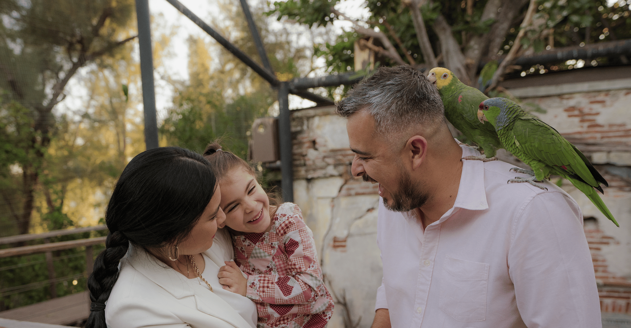 Mazatlán, Mazatlán 1873 Observatory Entry Tickets | Entry Ticket in ...