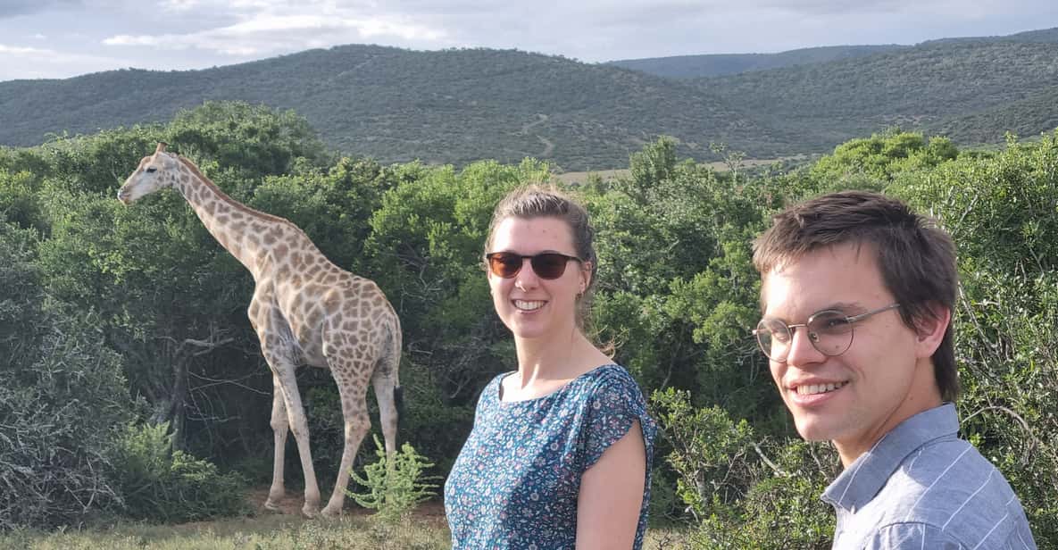 Addo Elephant Park and Giraffe Walk Private Full Day Safari | GetYourGuide