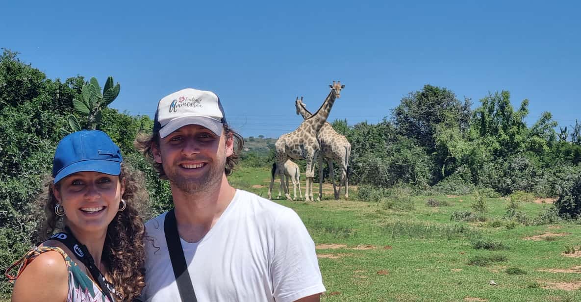Addo Elephant Park and Giraffe Walk Full Day Safari | GetYourGuide