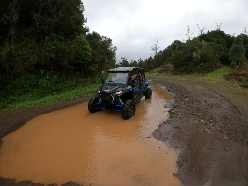 Funchal: Private Off-Road Buggy Tour with Guide & Transfers | GetYourGuide