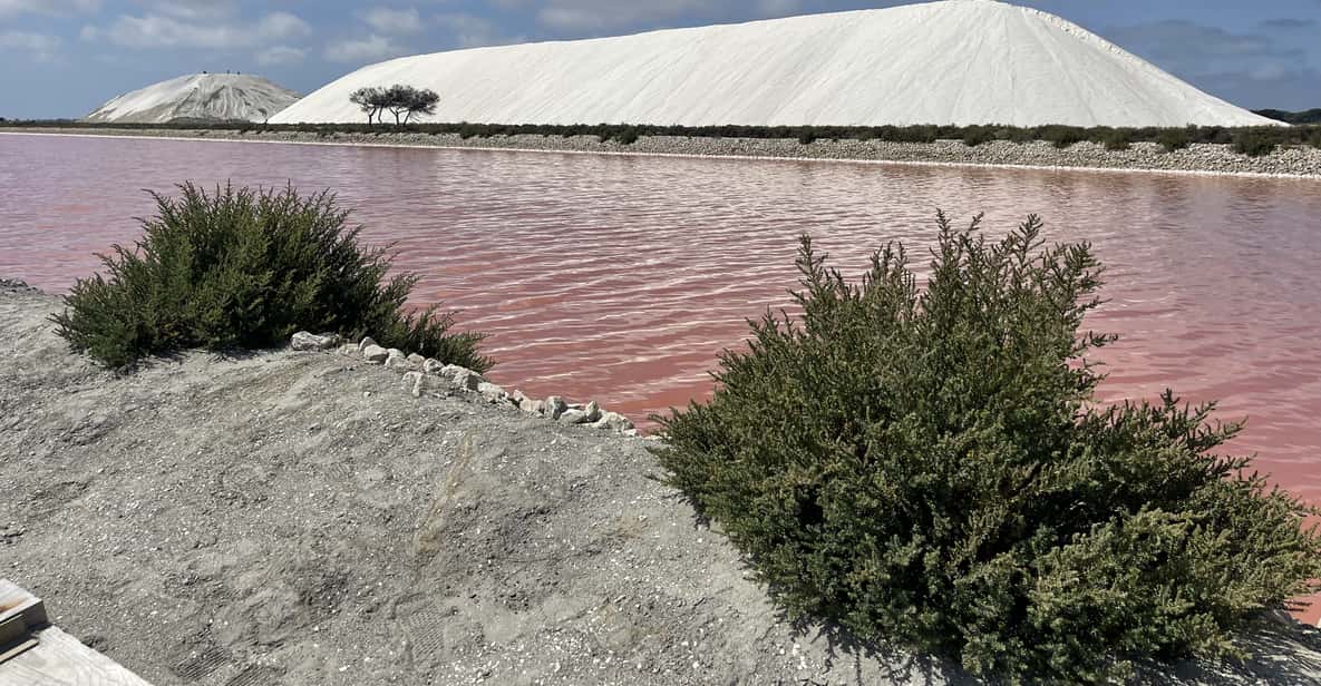 Visit the treasures of the Camargue | GetYourGuide