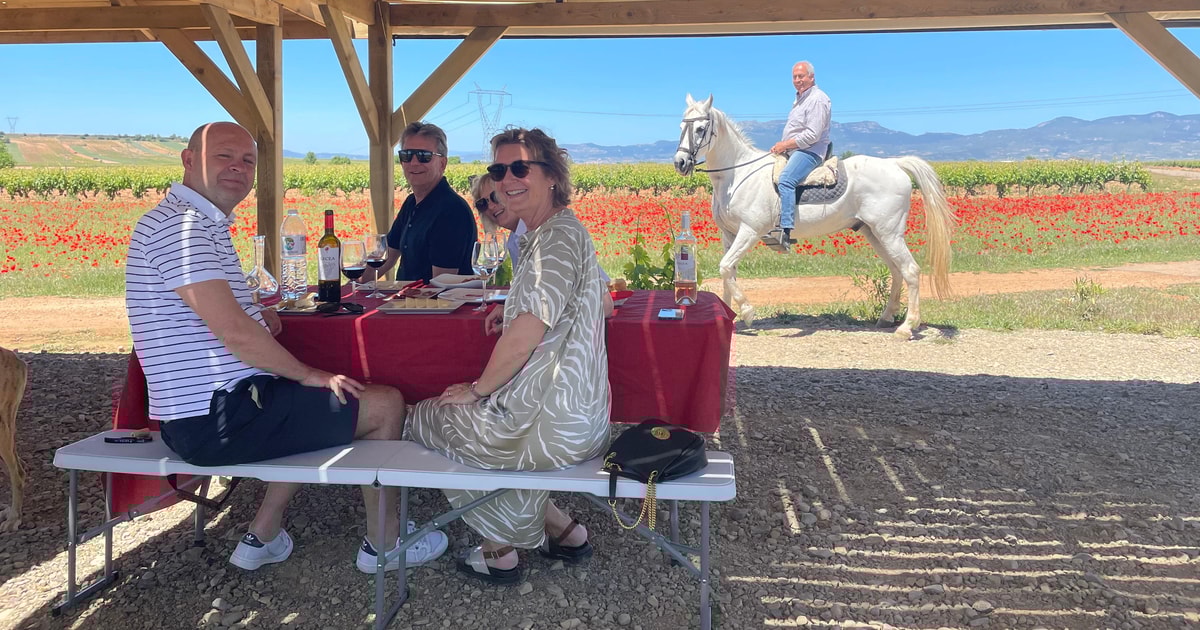 La Rioja Boutique Wine Tour & Magical Picnic (From Bilbao) | GetYourGuide