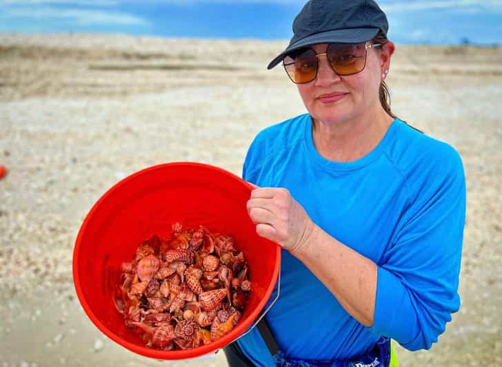 Ten Thousand Islands: 4-Hour Private Shelling Tour | GetYourGuide