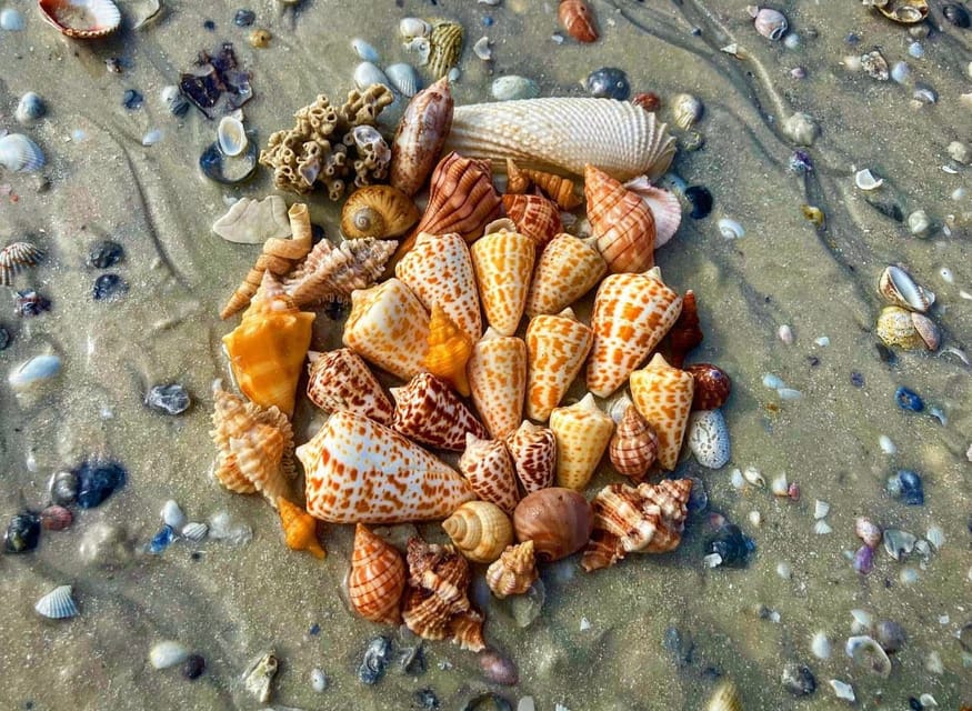 Ten Thousand Islands: 4-Hour Private Shelling Tour | GetYourGuide