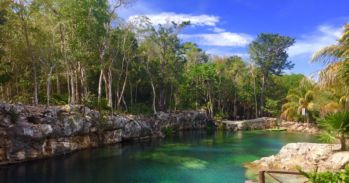 Tulum: Casa Tortuga Cenote Natural Park Guidad tur och lunch | GetYourGuide