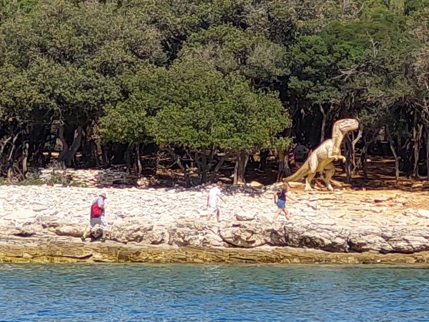 Pula: Brijuni National Park & Swimming Tour (in Fažana) | GetYourGuide