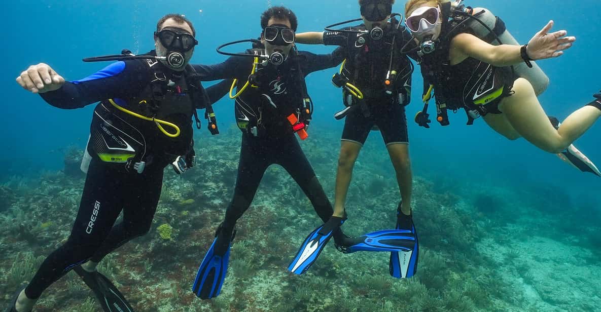 Cancún: scopri le immersioni subacquee con istruttore certificato ...