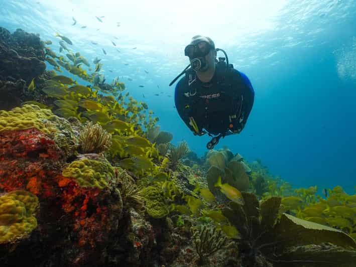Cancún: scopri le immersioni subacquee con istruttore certificato ...