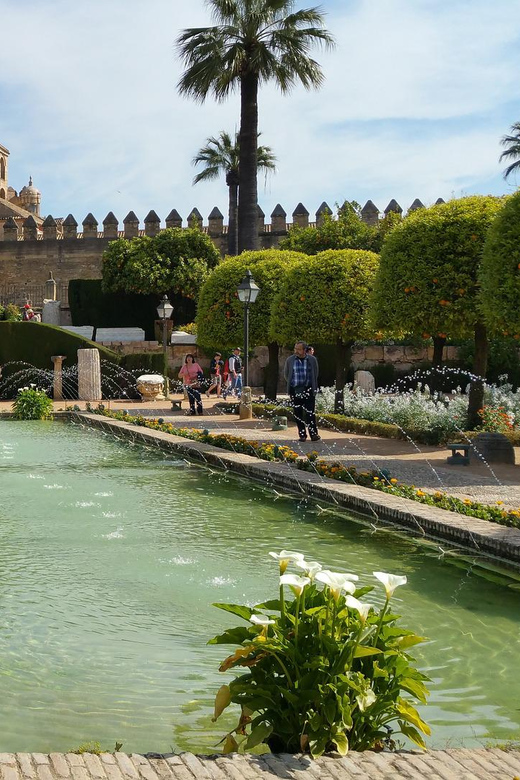 Málaga: Cordoba Day Trip and Optional Mosque-Cathedral Entry | GetYourGuide