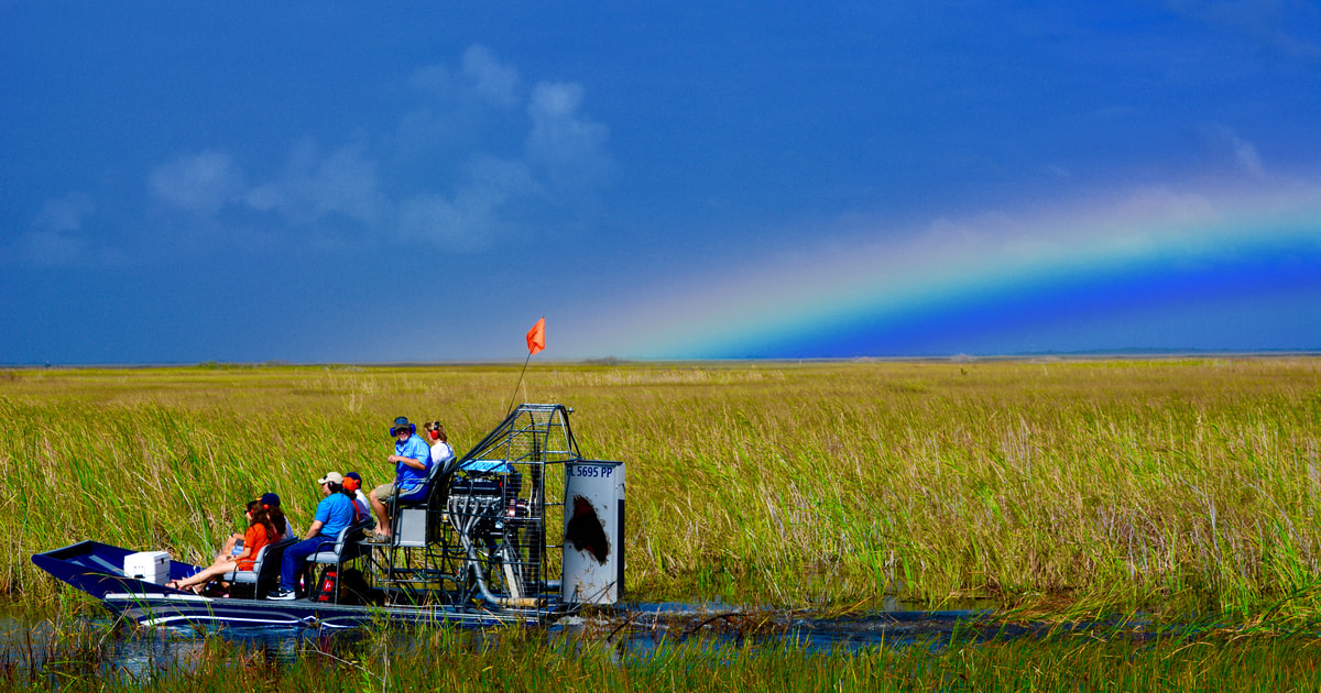 Miami: Everglades River of Grass Small Airboat Wildlife Tour | GetYourGuide
