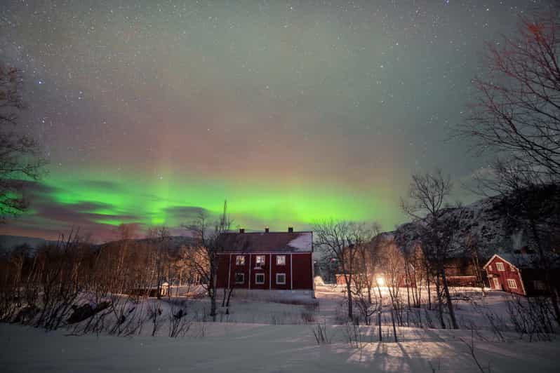 From Narvik: The Northern Lights Arctic Train Guided Tour | GetYourGuide