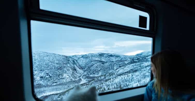 Der Arktis-Zug - Ofoten-Linie | GetYourGuide