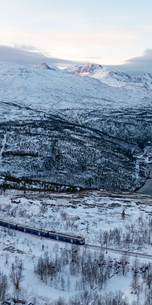 From Narvik: Round-Trip Arctic Train Ride on Ofoten Railway | GetYourGuide