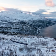 From Narvik: Round-Trip Arctic Train Ride on Ofoten Railway | GetYourGuide