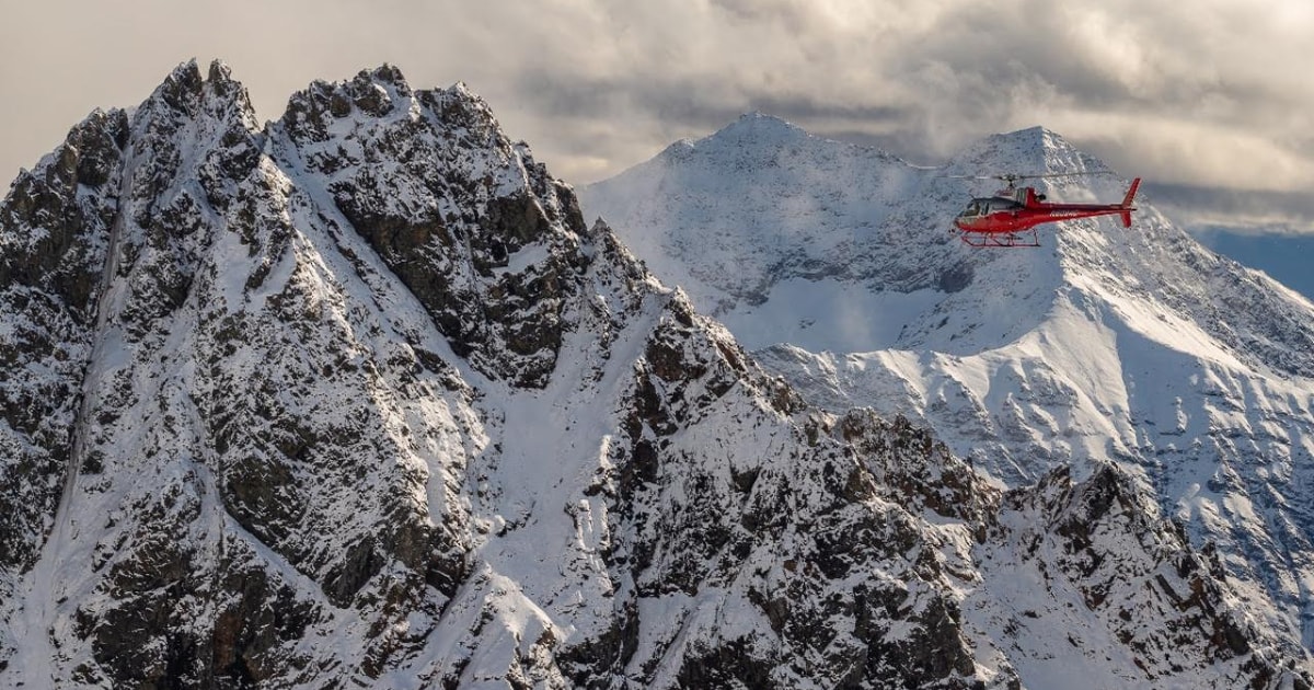 Denali National Park: Helicopter Flight with Glacier Landing | GetYourGuide