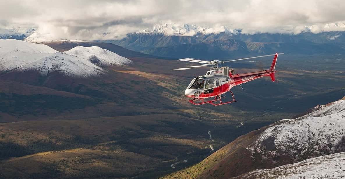 Denali National Park: Helicopter Ride over the Alaska Range | GetYourGuide