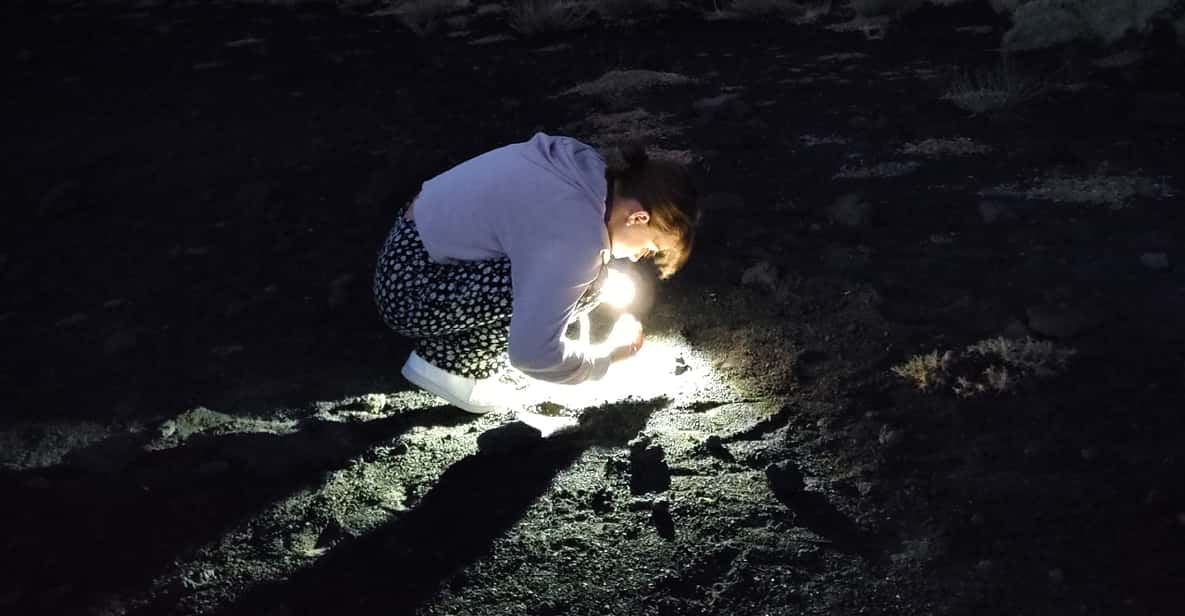 Etna Night Trekking | GetYourGuide