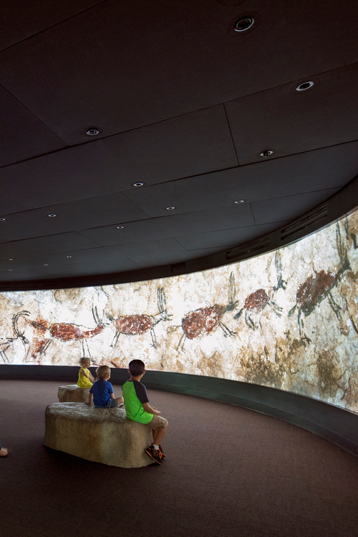 San Antonio Entrada al Museo Witte | GetYourGuide