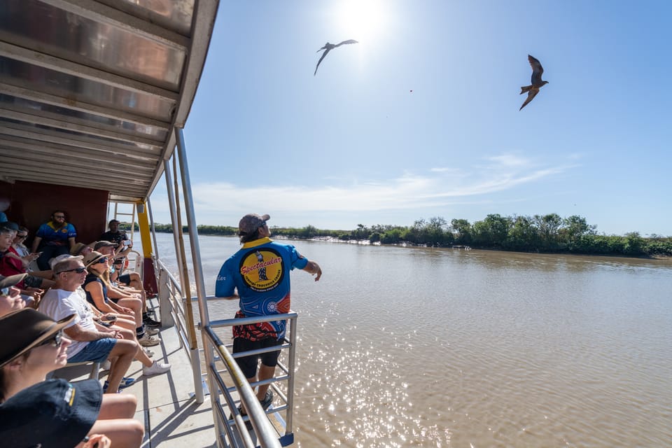 Darwin: Spectacular Jumping Crocodile Adelaide River Cruise | GetYourGuide