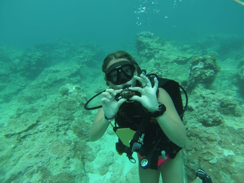 Shore Discover Scuba Diving Experience | GetYourGuide