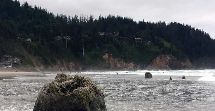 From Portland: Oregon Coast Day Trip to Three Capes Loop | GetYourGuide
