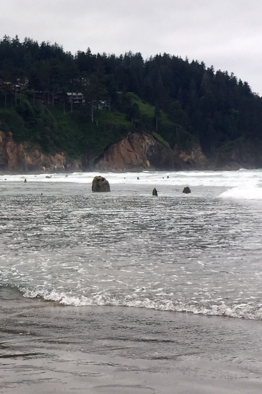 From Portland: Oregon Coast Day Trip to Three Capes Loop | GetYourGuide